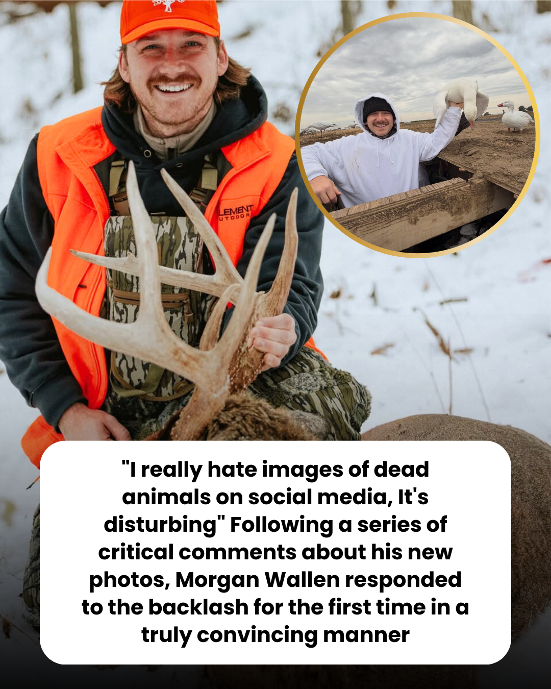 “I really hate images of dead animals on social media, It’s disturbing ...